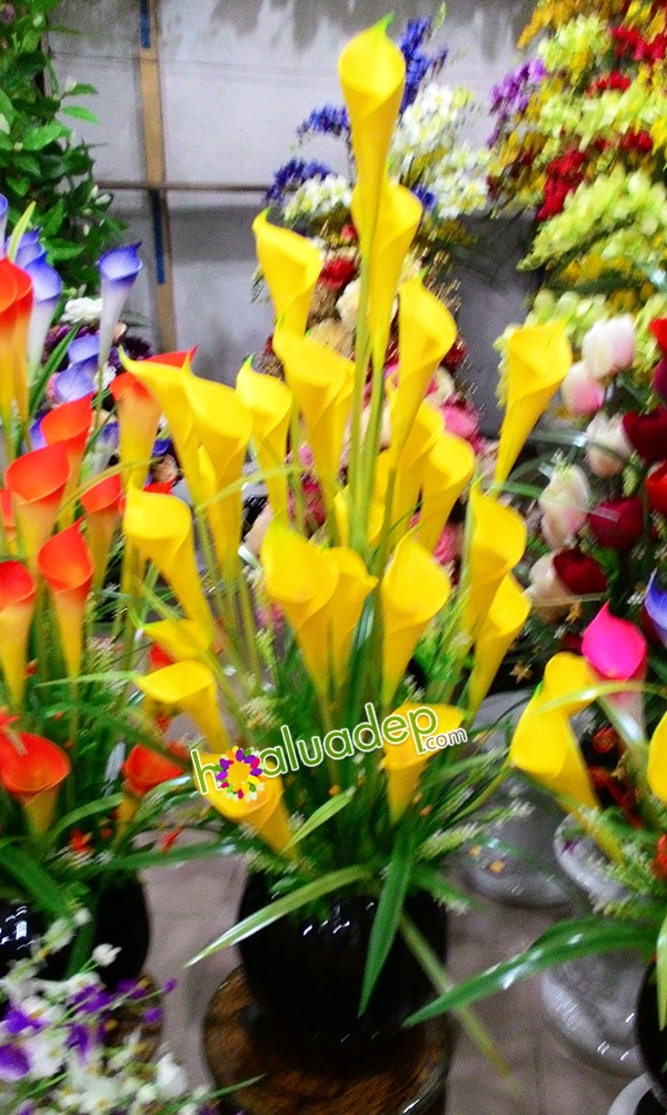 Hoa Rum | Hoa Lụa Đẹp